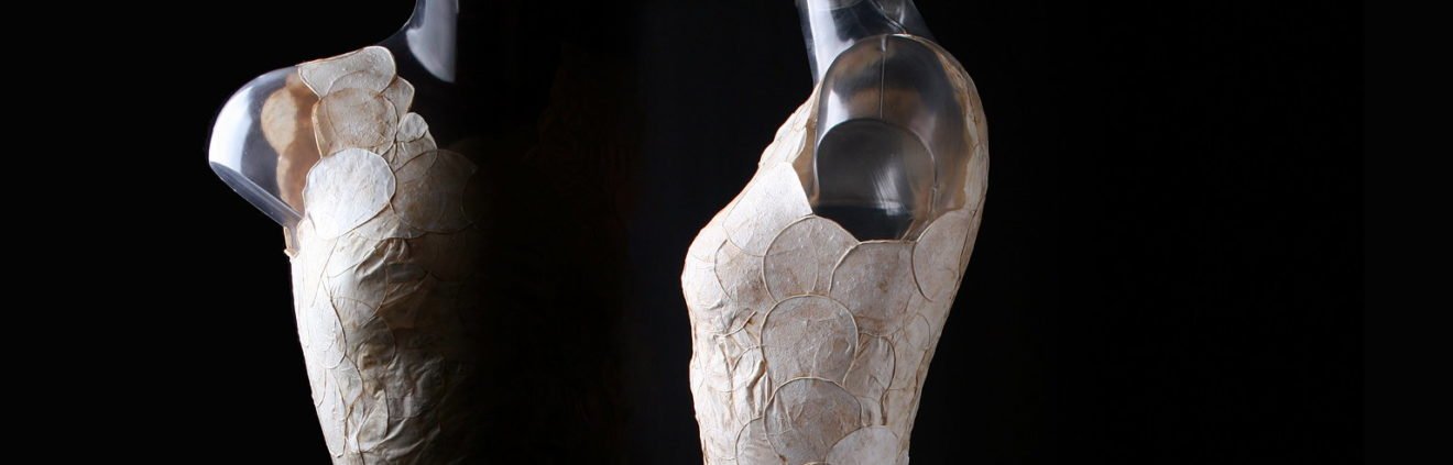 Come i funghi danno origine alla plastica – Enkey Magazine