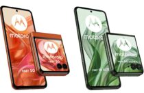 Bio colla per sanare le ferite – Enkey Magazine